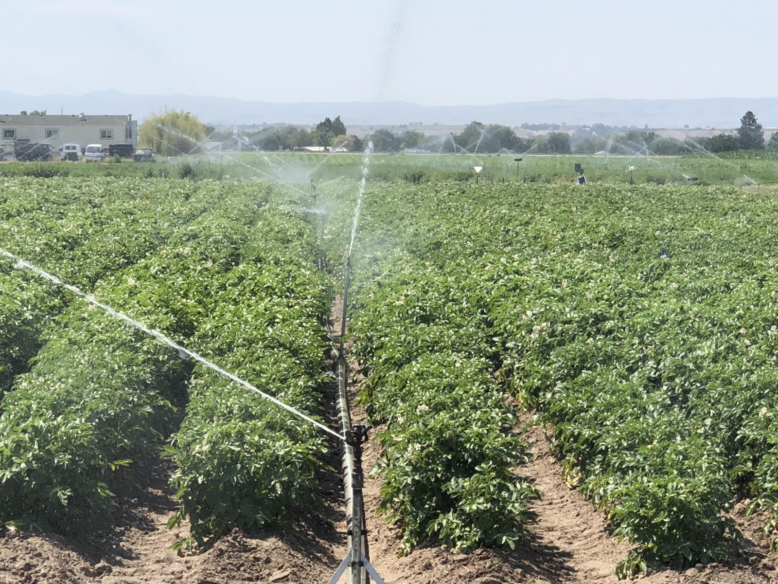 All Idahoans Can Do Their Part To Conserve Water This Year Idaho Farm All Idahoans Can Do Their Part To Conserve Water This Year Idaho Farm