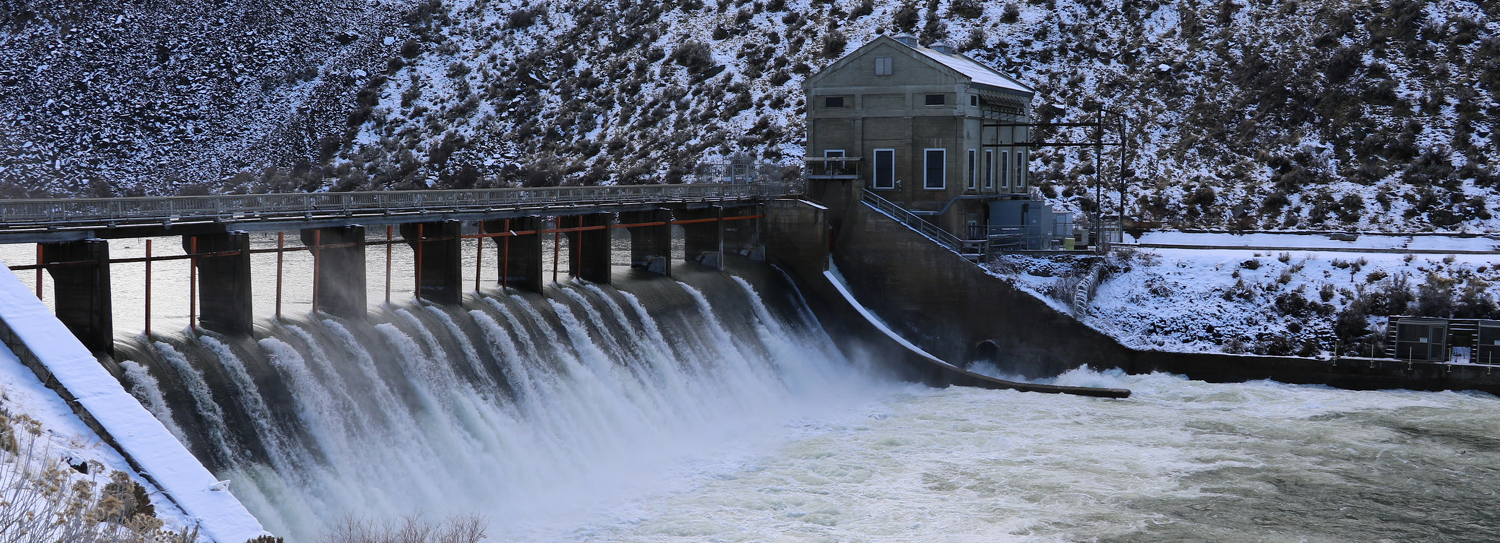 Idaho Farm Bureau Federation